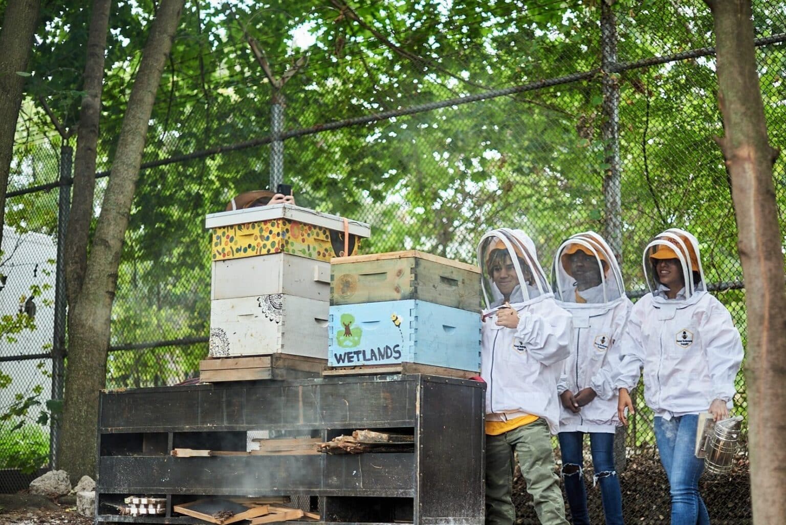Partner Spotlight: Bee University NYC - CitizensNYC